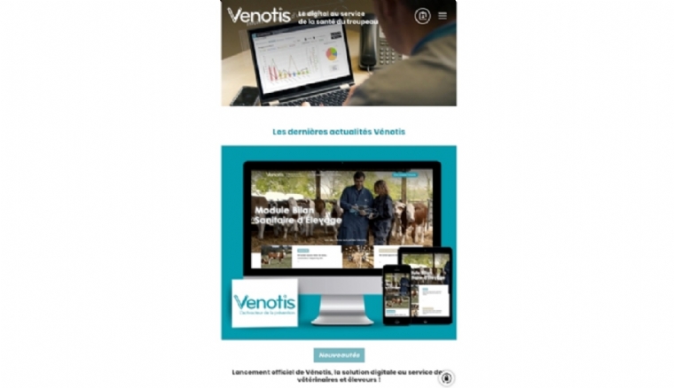 Venotis : nouvel outil digital de gestion de la prévention en élevage bovin