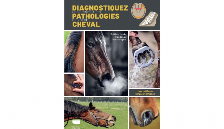 Un ouvrage pour aider le propriétaire d'équidé à réagir en cas de ...