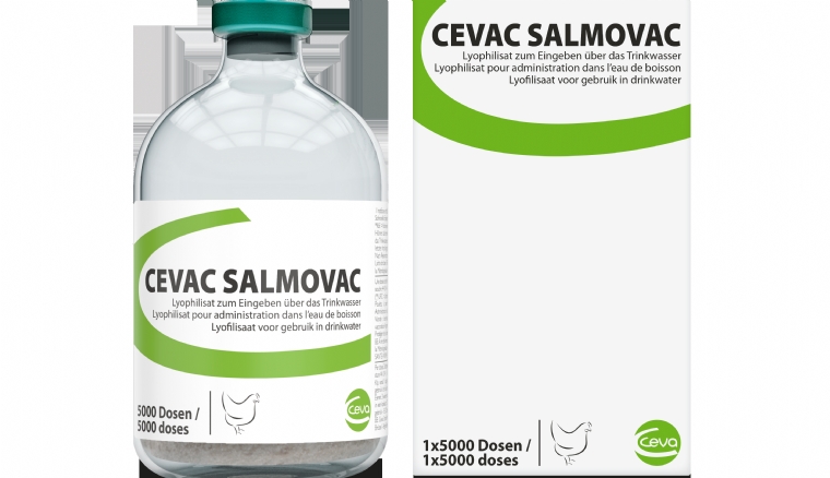 Poules pondeuses : Cevac Salmovac, vaccin vivant contre les salmonelles ...